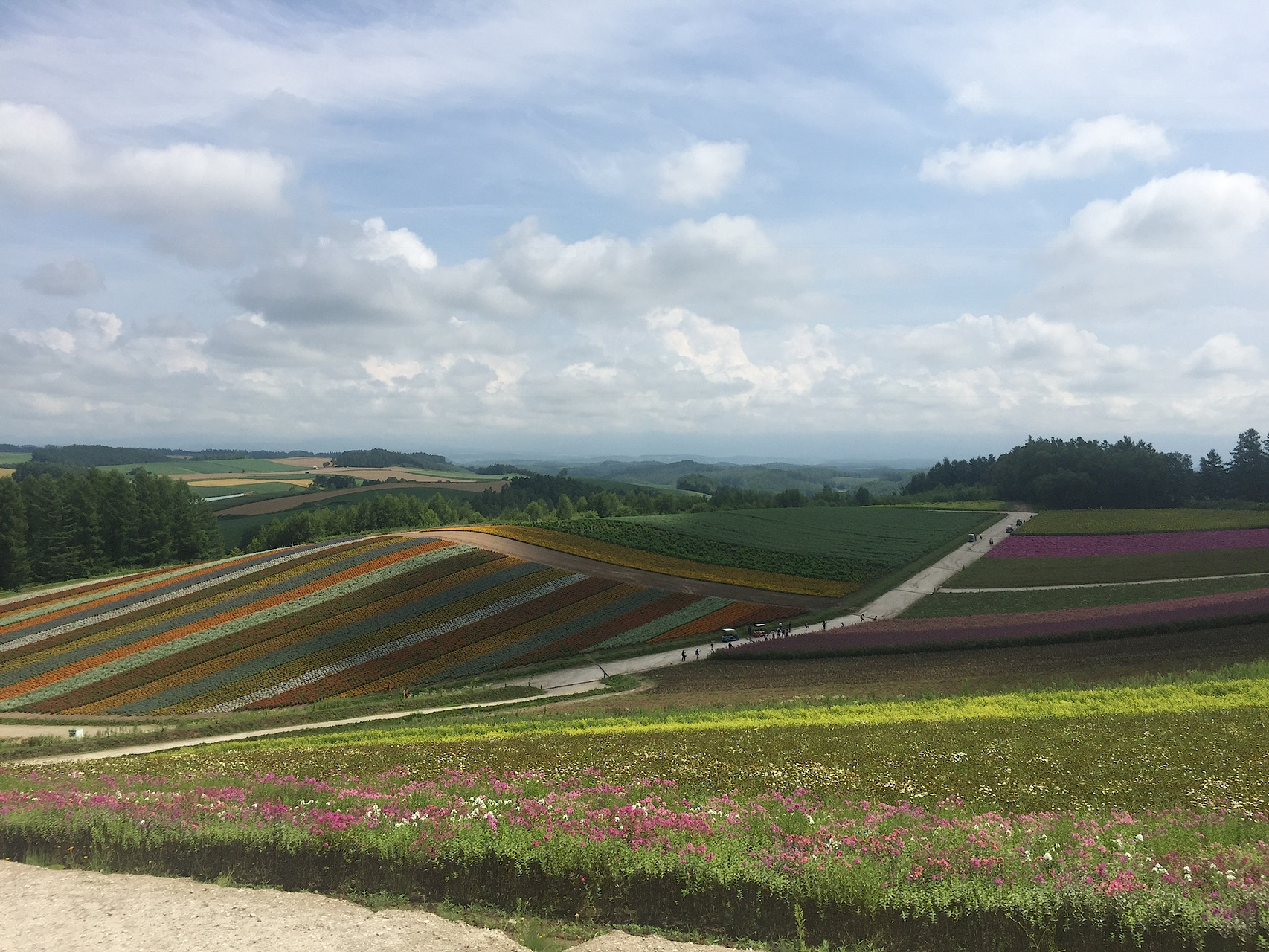 人工智能——下一个风口 | 绿茶的自由之路 | Bruce-Qiao Blog